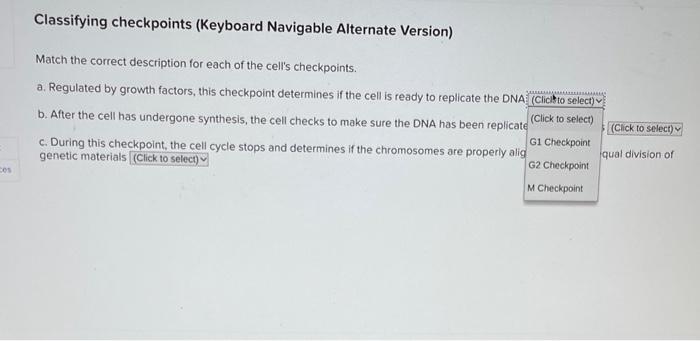 Solved Classifying checkpoints (Keyboard Navigable Alternate | Chegg.com