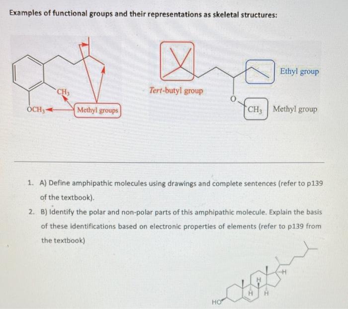 [Solved]: Examples of functional groups and their represent