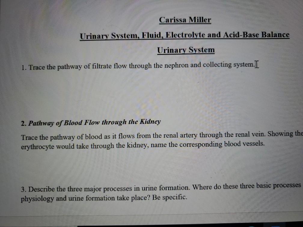 Solved what's the pathway of filtrate flow through the | Chegg.com
