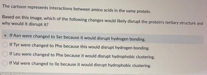 Solved The cartoon represents interactions between amino | Chegg.com
