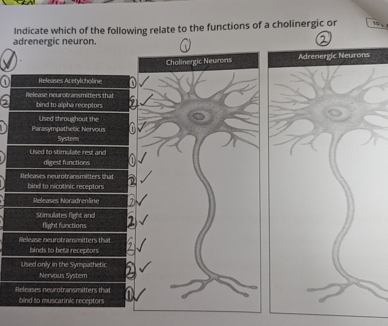 Solved Indicate which of the following relate to the | Chegg.com