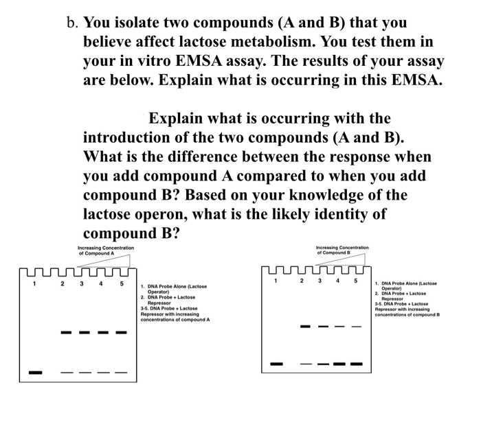 Solved b. You isolate two compounds (A and B) that you | Chegg.com