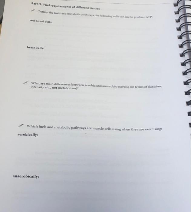 Solved Part D: Fuel requirements of different tissues | Chegg.com