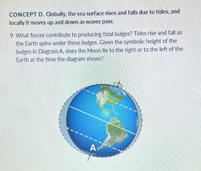 Solved 9. What forces contribute to producing tidal bulges? | Chegg.com