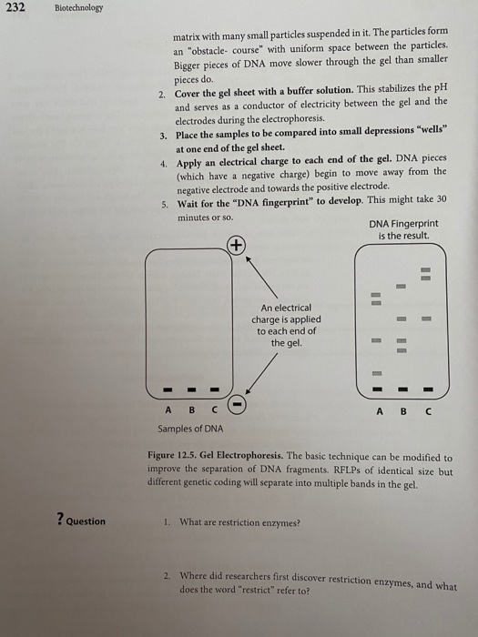 Solved 232 Biotechnology matrix with many small particles | Chegg.com