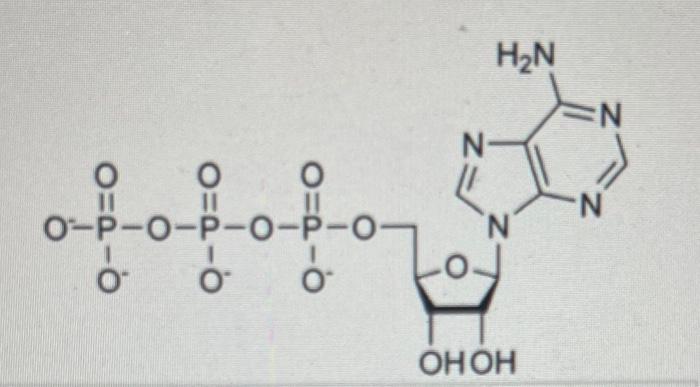 Solved name the specific molecule shown, and explain how | Chegg.com