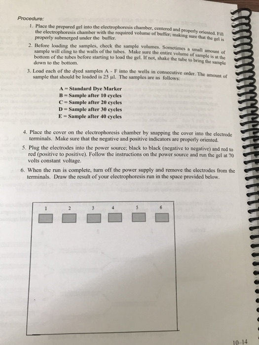 Solved Read intro and procedure. In step 3 of the procedure | Chegg.com