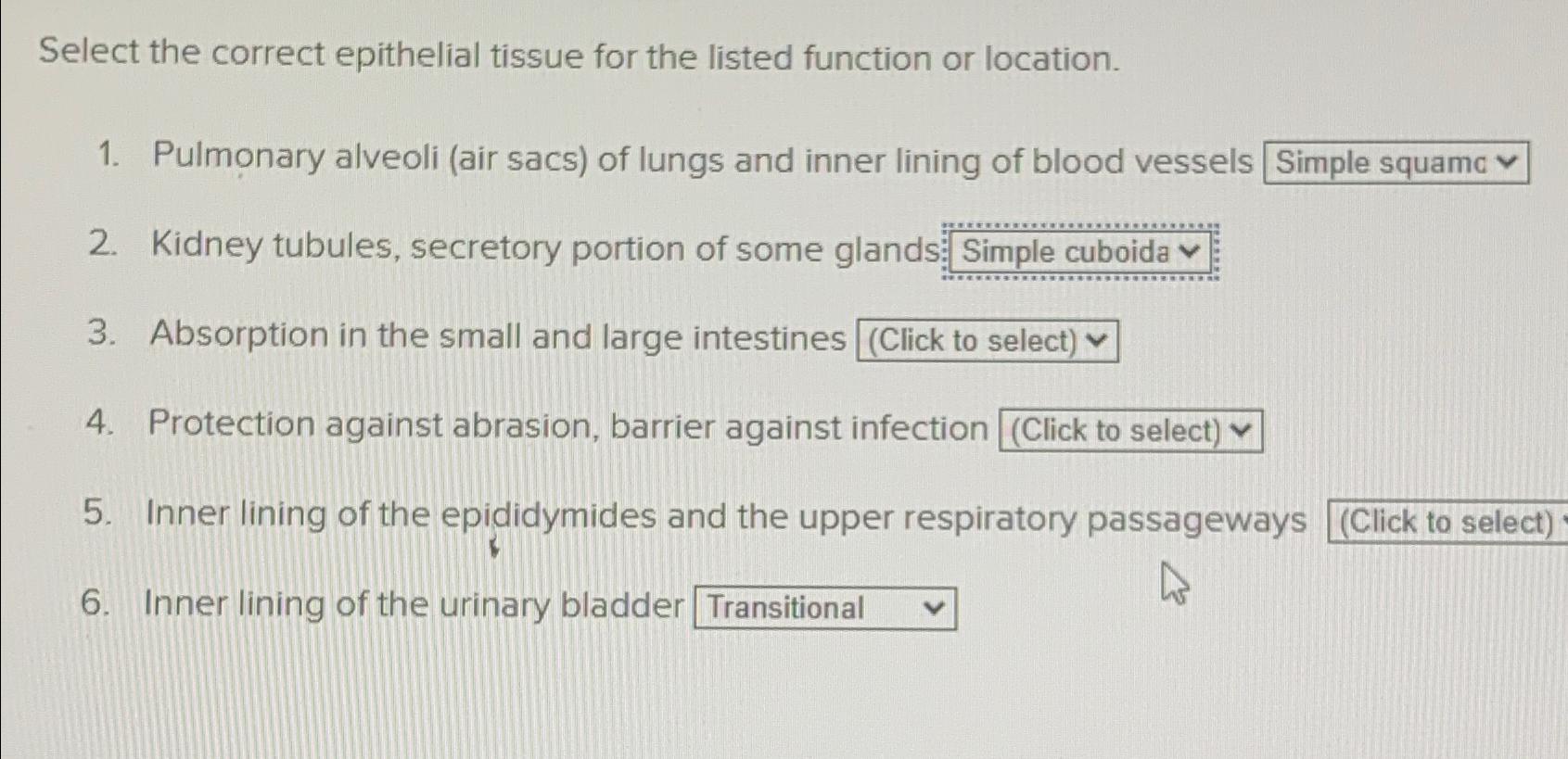 Solved Select the correct epithelial tissue for the listed | Chegg.com