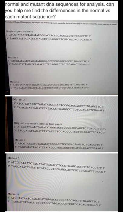 Solved normal and mutant dna sequences for analysis. can you | Chegg.com