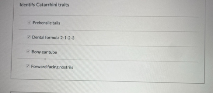 Solved Identify Catarrhini traits Prehensile tails Dental | Chegg.com