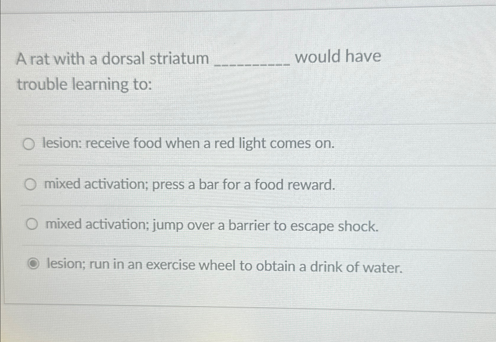 Solved A rat with a dorsal striatum would have trouble | Chegg.com