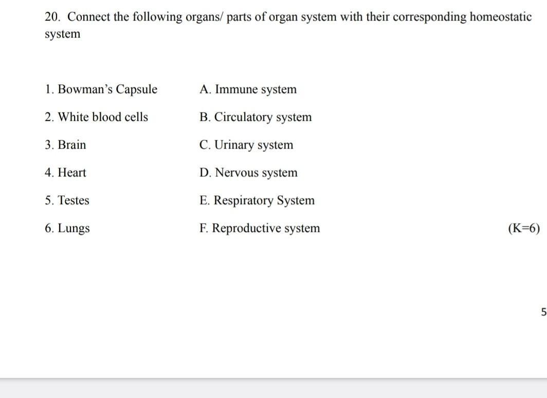 Solved 20. Connect the following organs/ parts of organ | Chegg.com