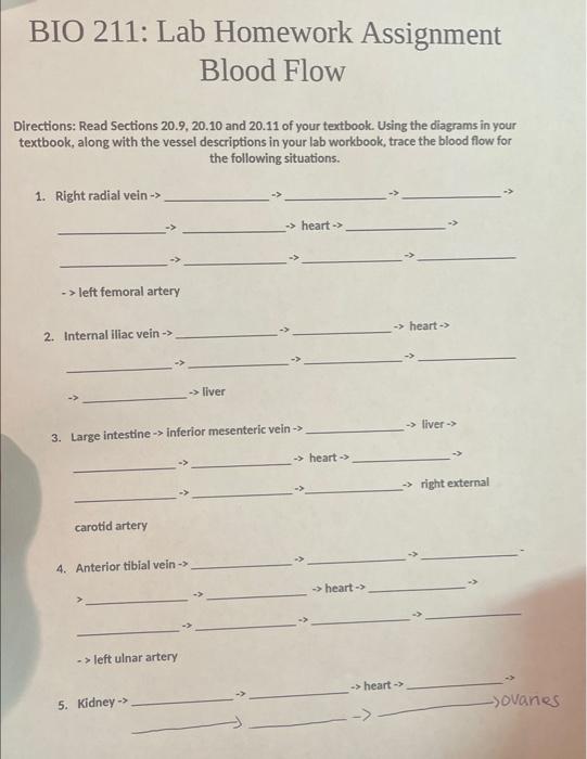 Solved BIO 211: Lab Homework Assignment Blood Flow | Chegg.com