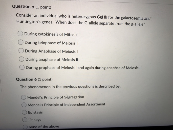 Solved Question 5 (1 point) Consider an individual who is | Chegg.com
