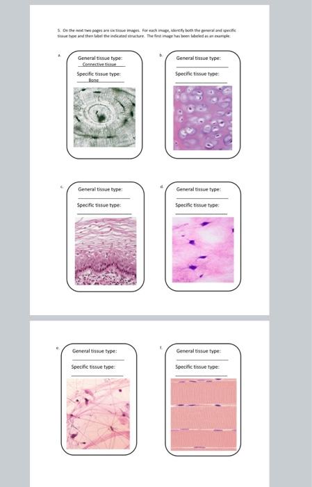 Solved biology integumentary | Chegg.com
