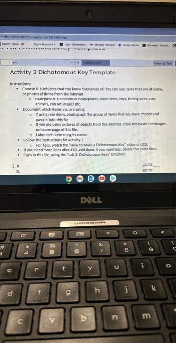 Activity 2 Dichotomous Key Template Instructions: - | Chegg.com