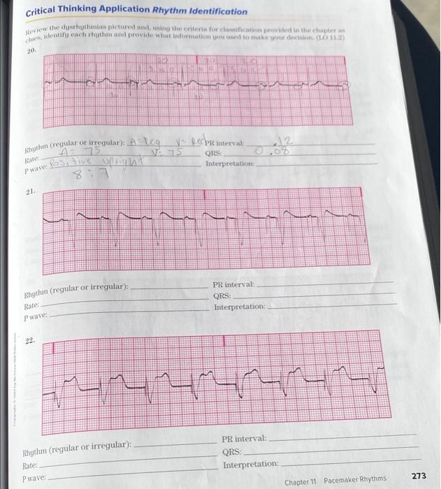 Solved Critical Thinking Application Rhythm Identification | Chegg.com