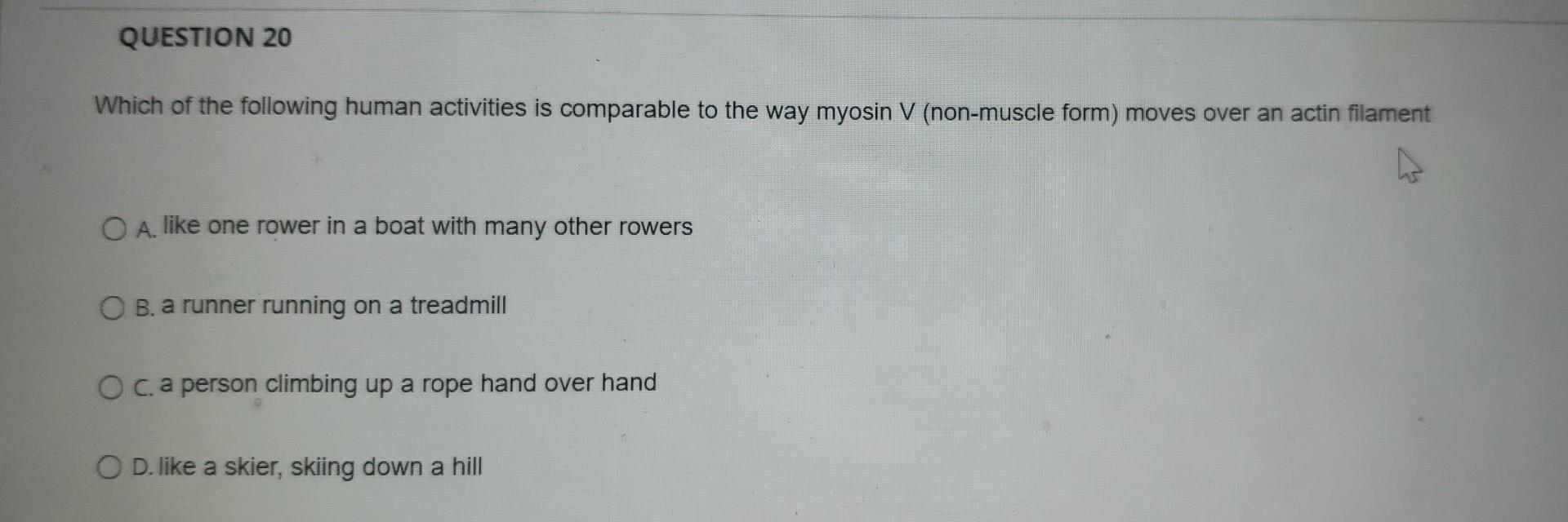 Solved QUESTION 13 Selectins are cell adhesion molecules | Chegg.com
