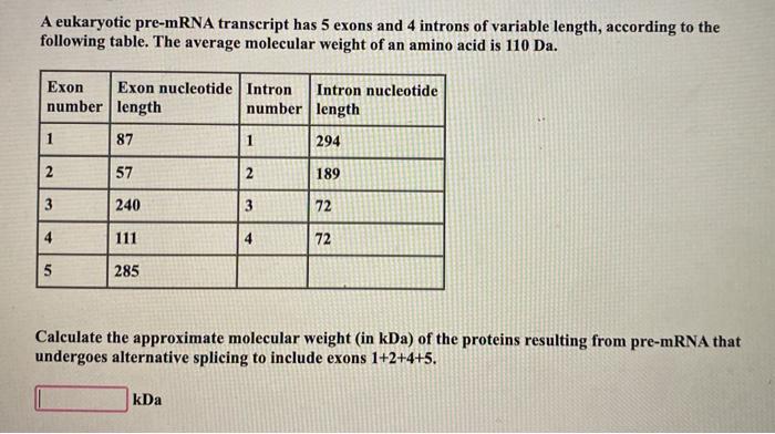 Solved The codon CGA codes for the amino acid arginine. In | Chegg.com