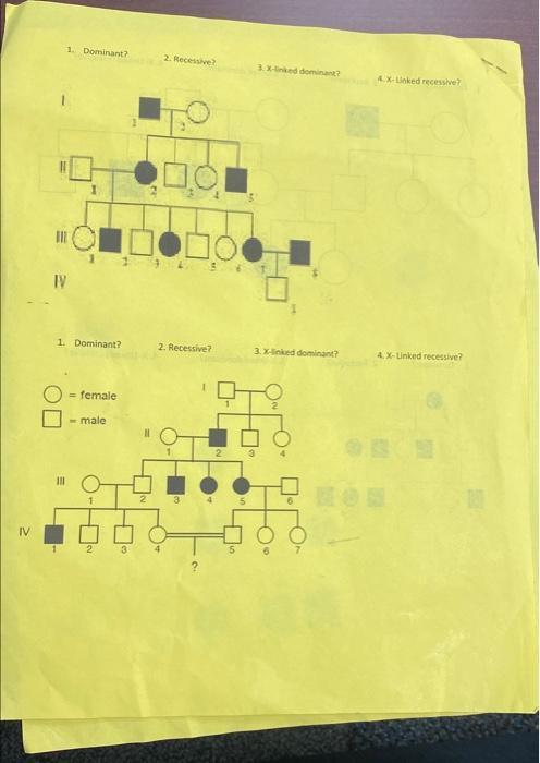 Solved 1. Dominant? 2. Recessive? 3. XClinked dominant? A. | Chegg.com
