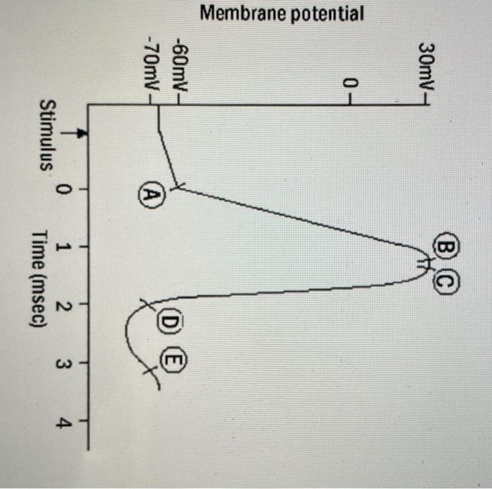 Solved 1. In the figure below, points C, D, and E represent | Chegg.com