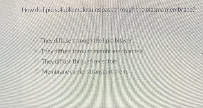 Solved How do lipid soluble molecules pass through the | Chegg.com