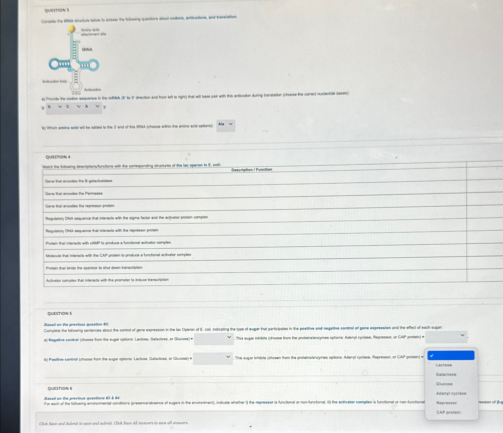 Solved QUESTION 3Consider the IRNA structure below to answer | Chegg.com