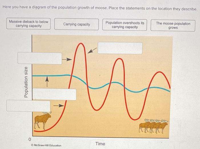 Solved Here you have a diagram of the population growth of | Chegg.com