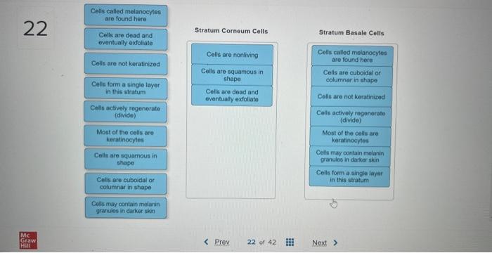 22 \begin{tabular}{l} Stratum Corneum Cells \\ Cells | Chegg.com