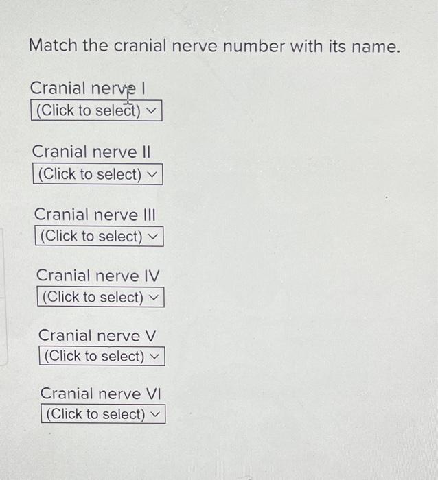 Solved Match the cranial nerve number with its name. Cranial | Chegg.com