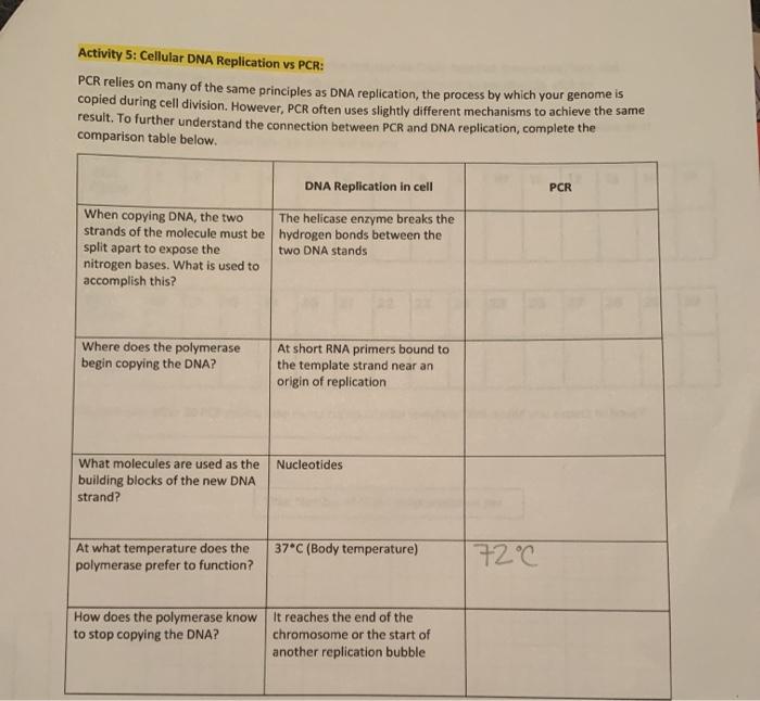 Solved Activity 5: Cellular DNA Replication vs PCR: PCR | Chegg.com