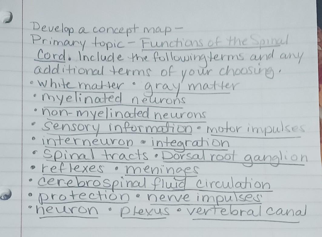 Solved Develop a concept map - Primany topic - Functions of | Chegg.com