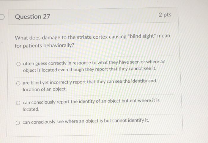 Solved What does damage to the striate cortex causing "blind | Chegg.com