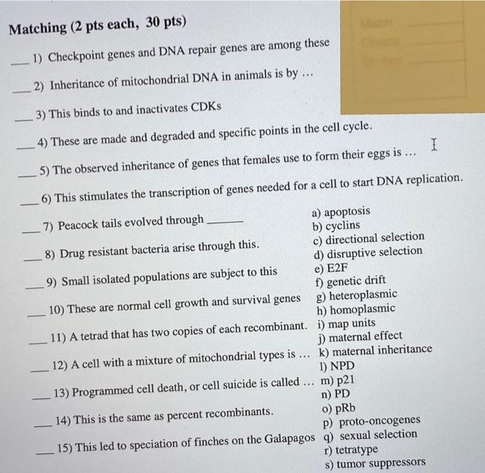 Solved 1) Checkpoint genes and DNA repair genes are among | Chegg.com