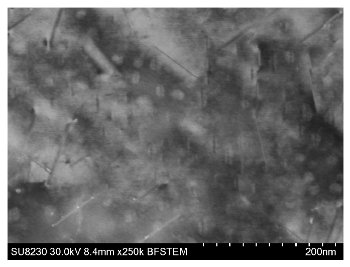 Solved discuss the microstructure of this image fully | Chegg.com