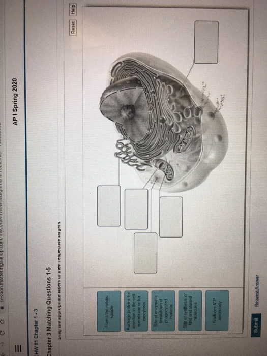 Solved Session dengan UMHLUTV Wuyun AP I Spring 2020 HW #1 | Chegg.com