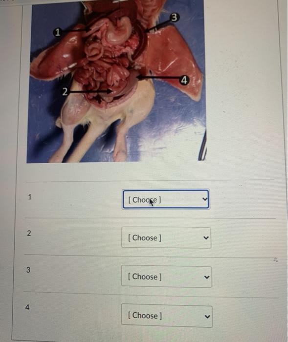 1 3 2 4 [Choose [Choose 3 [Choose] 4 [Choose] 3 1 4 | Chegg.com