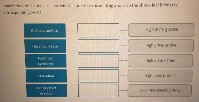 Solved Match the urine sample results with the possible | Chegg.com