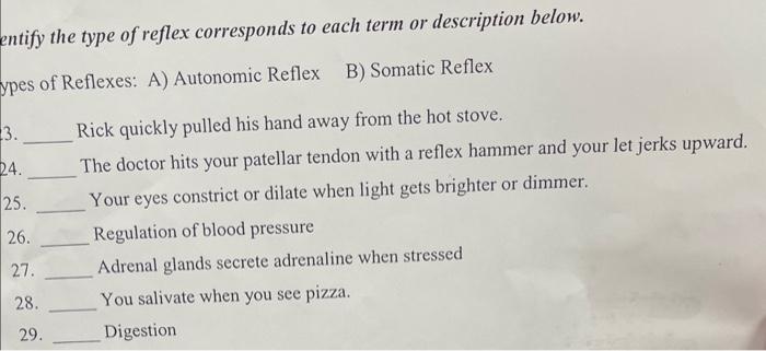 Solved entify the type of reflex corresponds to each term or | Chegg.com