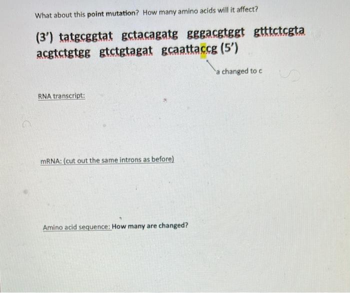Solved Building proteins/mutation effects assignment 10 | Chegg.com