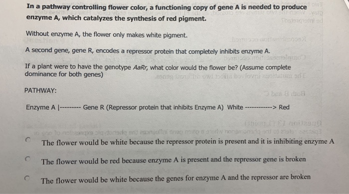 Solved DOGO Which statement is most accurate for the trait | Chegg.com