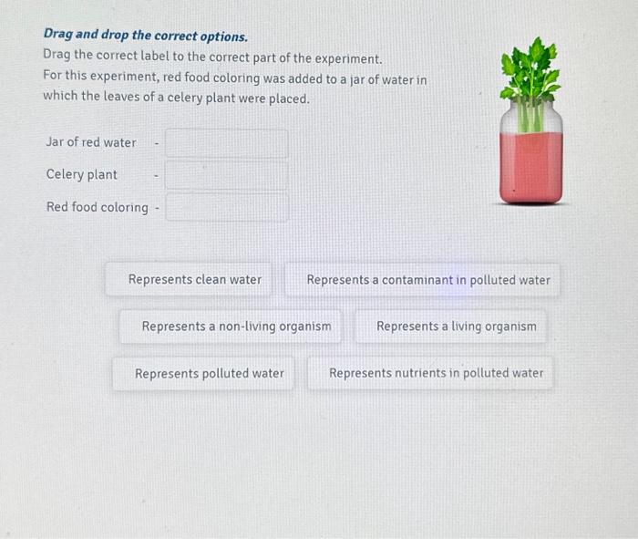 Solved Drag and drop the correct options. Drag the correct | Chegg.com