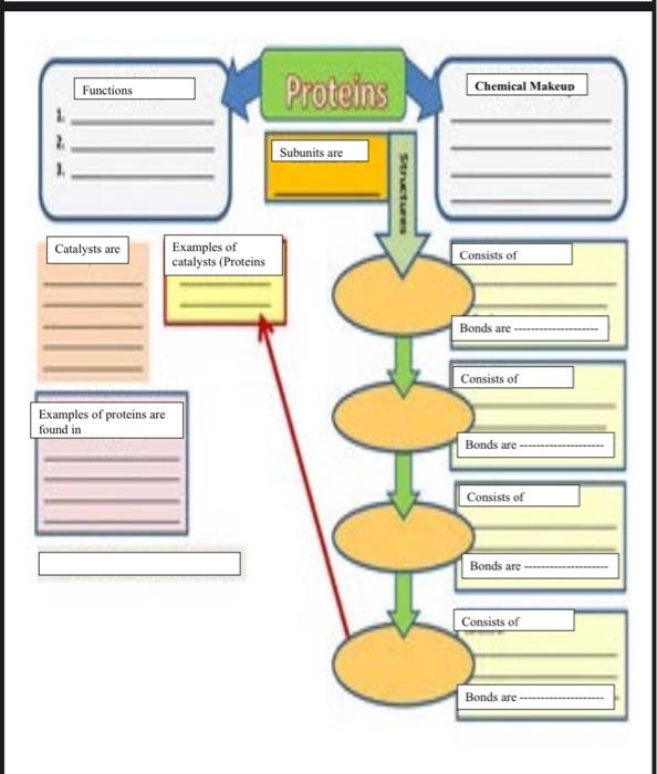 Solved Functions Proteins Chemical Makeup 2 1 Subunits are | Chegg.com
