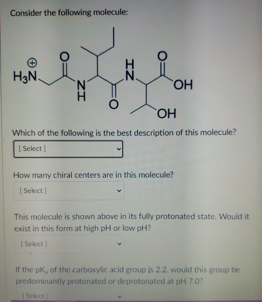 Solved Consider the following molecule: H3N ZI N H OH O OH | Chegg.com