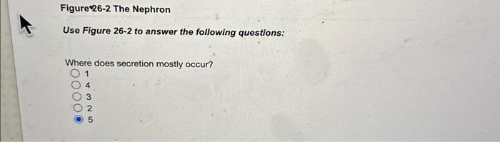 Solved Use Figure 26-2 to answer the following questions: | Chegg.com