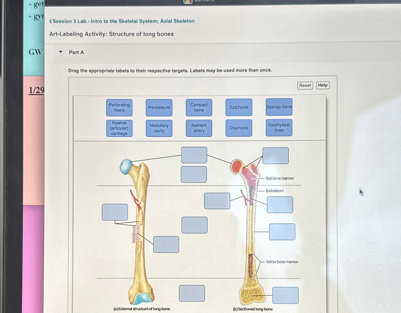 Solved label the structure of long bone | Chegg.com