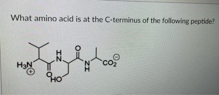 Solved What amino acid is at the C-terminus of the following | Chegg.com