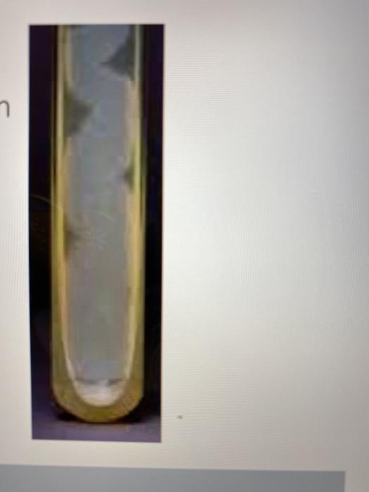 Solved morphology of this slant culture? 4 morohology terms | Chegg.com