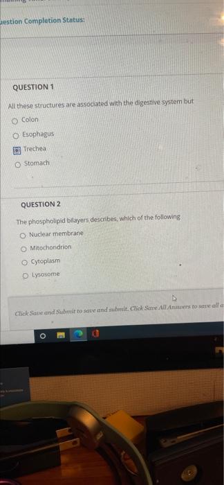 Solved estion Completion Status: QUESTION 1 All these | Chegg.com