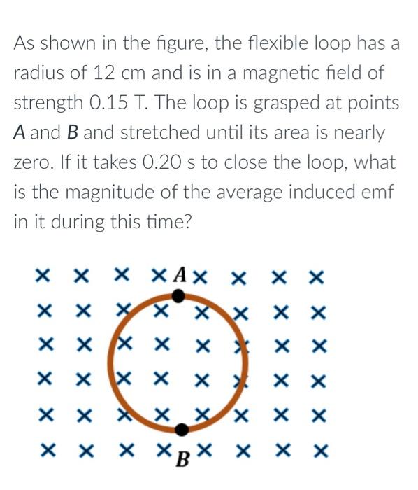 Solved As shown in the figure, the flexible loop has a | Chegg.com